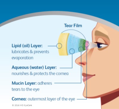 About Dry Eye Syndrome